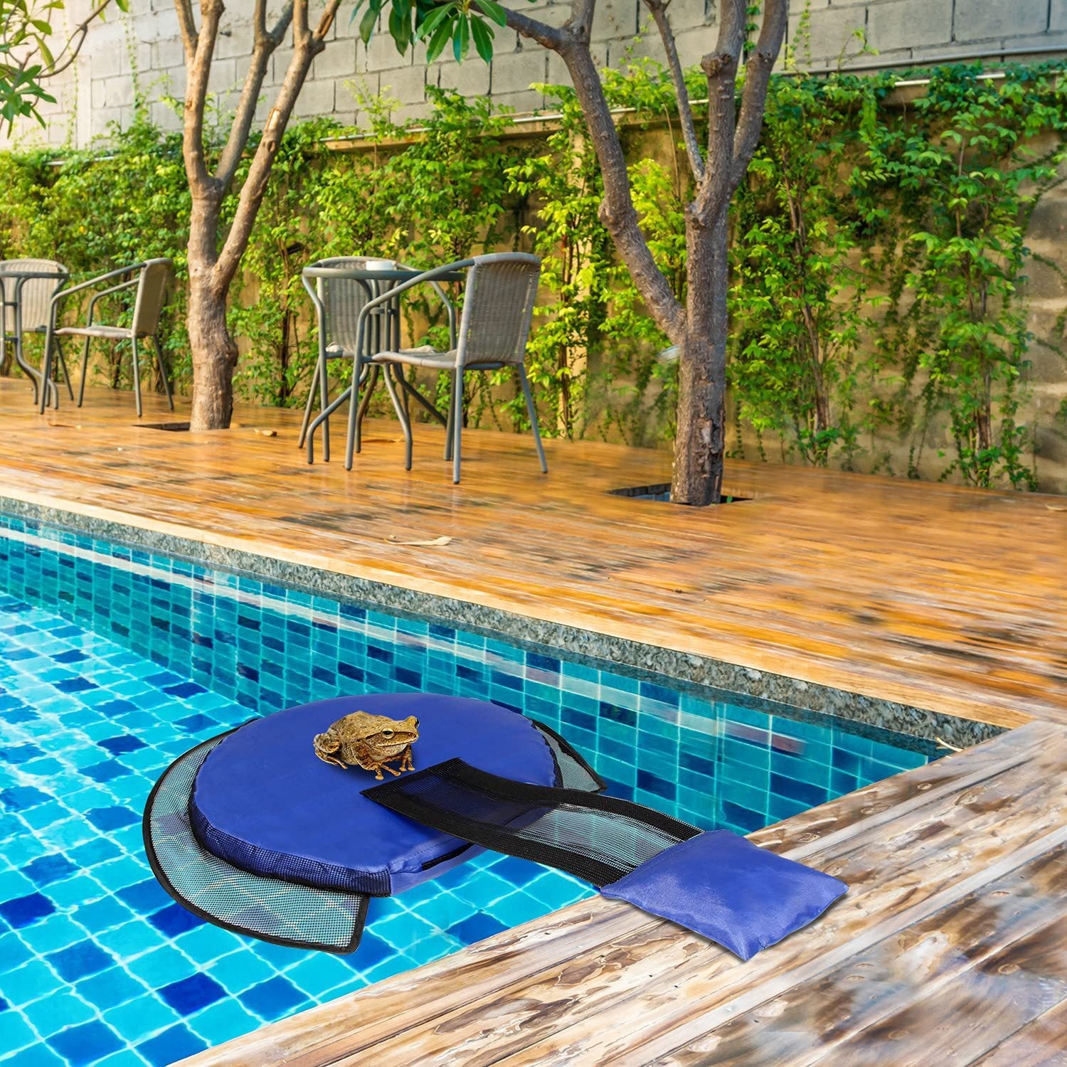 Swimming Pool Rescue Critter Animal Save Escape Ramp Swimline Frog Log ...